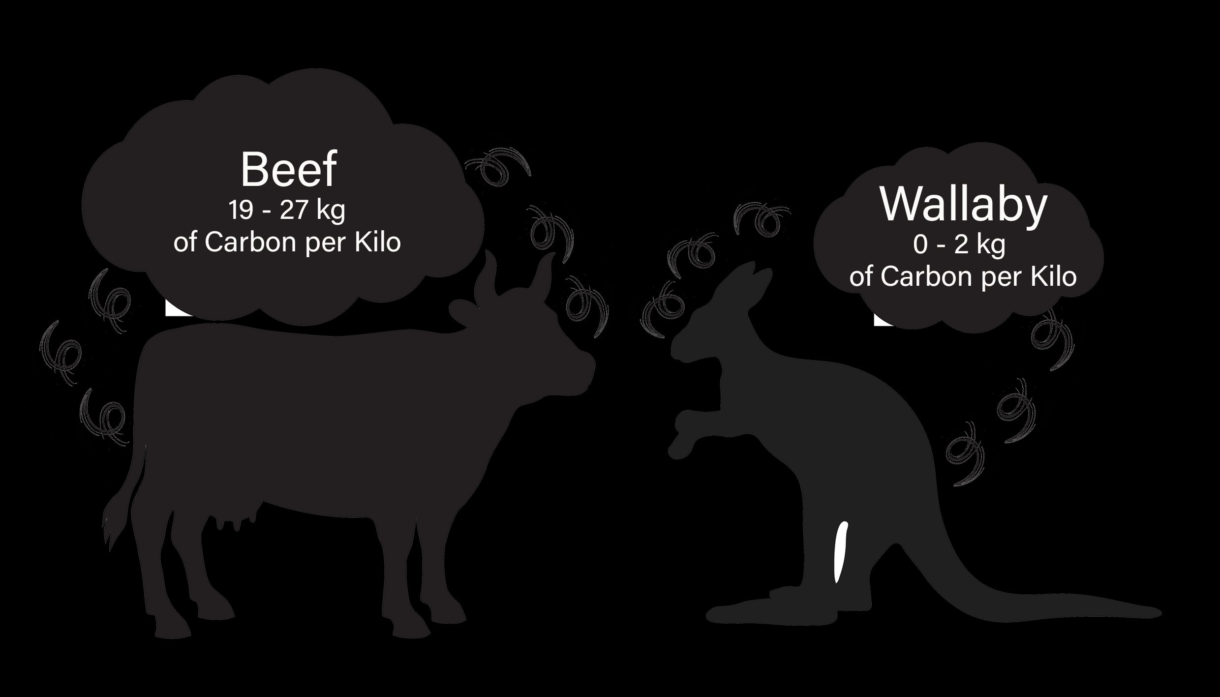 The Benefits of Wallaby Fur & Meat | Wuggs Australia – Lenah