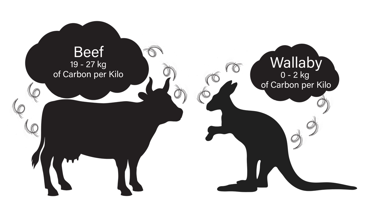 The Benefits of Wallaby Fur & Meat | Wuggs Australia – Lenah
