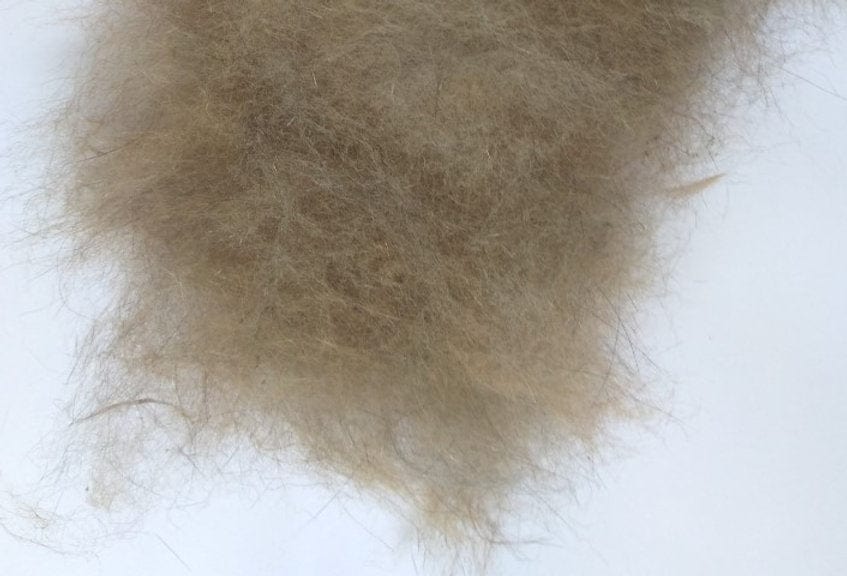 Shop Premium Possum Fibre | Wuggs Australia – Lenah