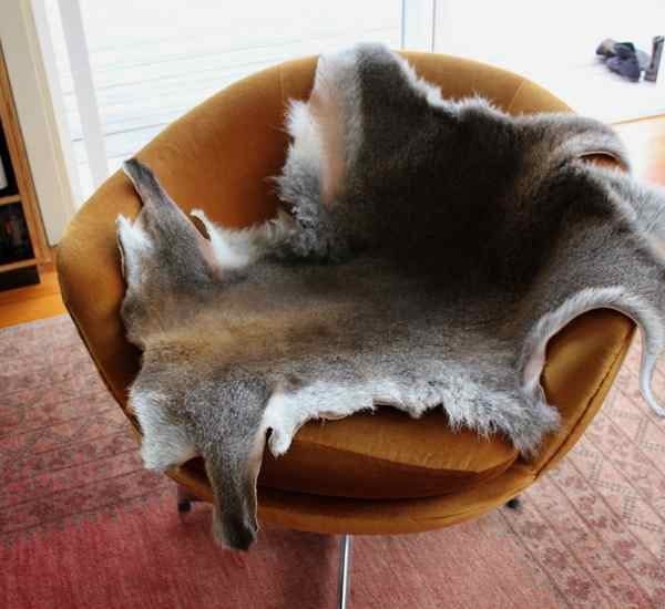Shop Premium Wallaby Skins | Wuggs Australia – Lenah Wuggs